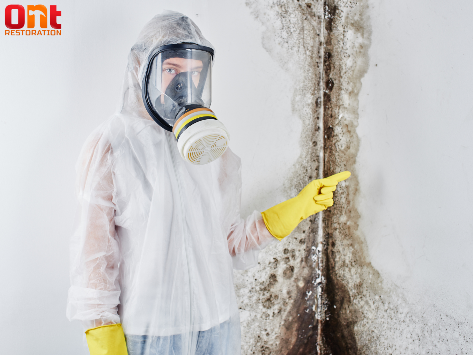 Winter Woes: Understanding the Risks of Mold in Cold Climates